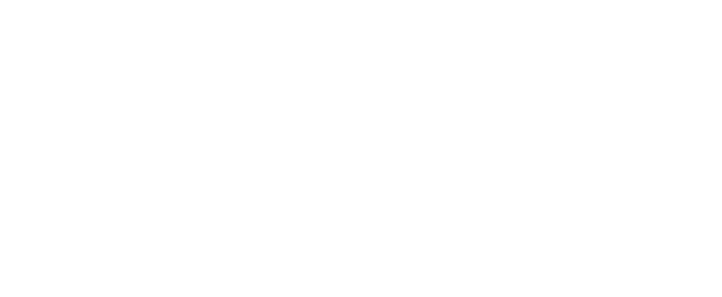 MVS Pharma's Commitment To Falsified Medicines Prevention